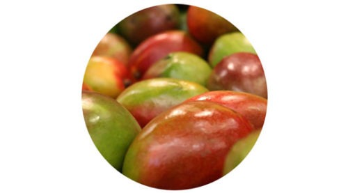 African Mango (Irvingia Gabonensis): Weight Loss Benefits